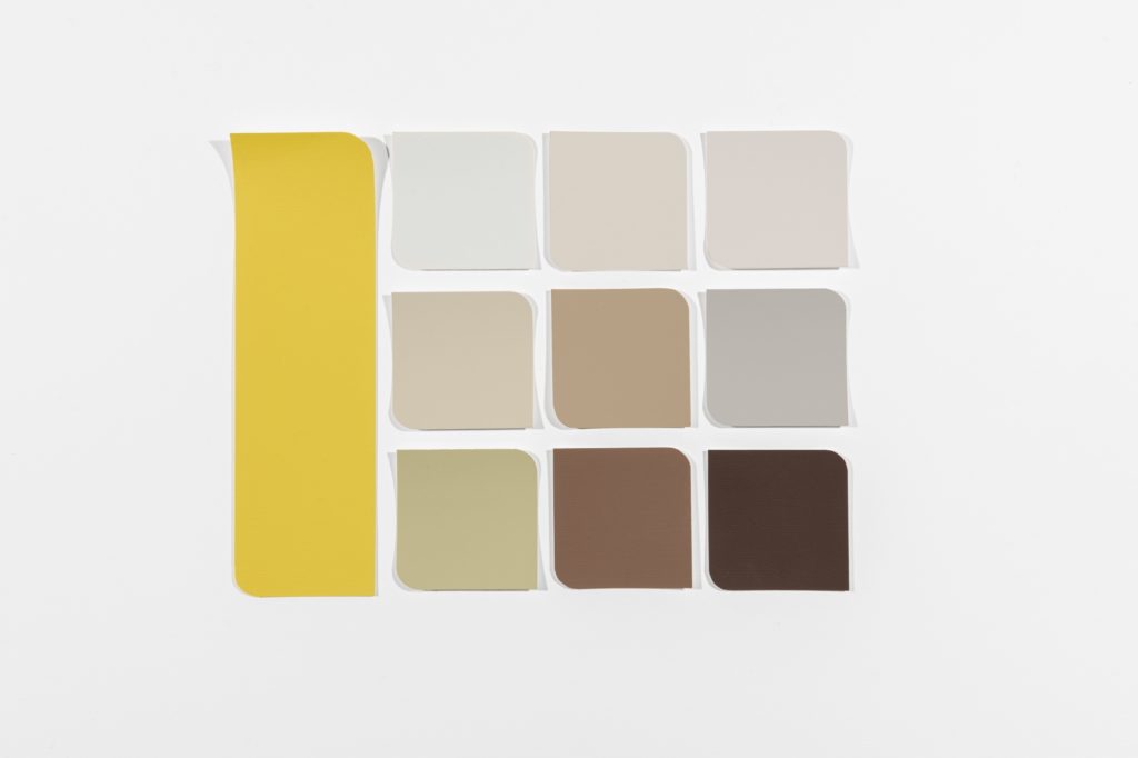 Dulux names ‘True Joy’ as its Colour of the Year 2025 - Professional ...